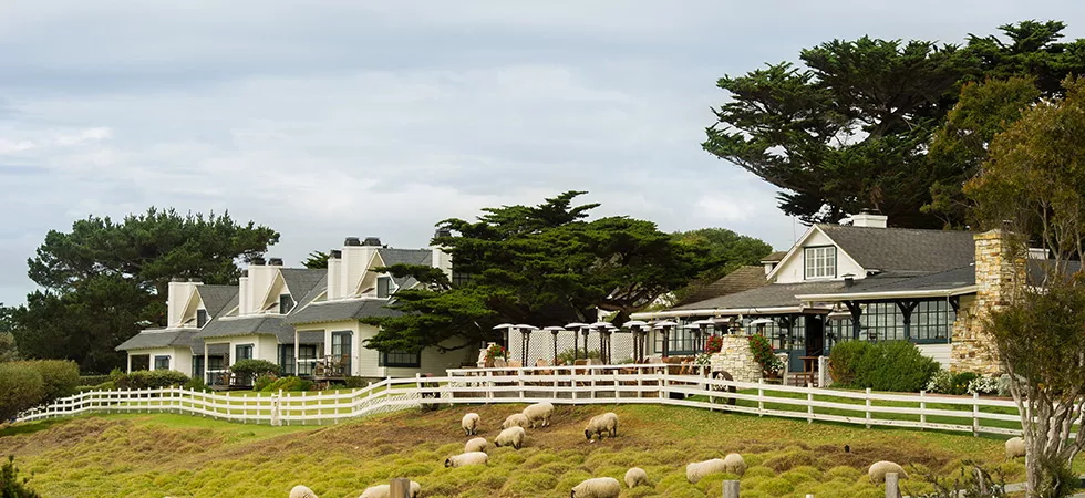 Where to Stay in Carmel